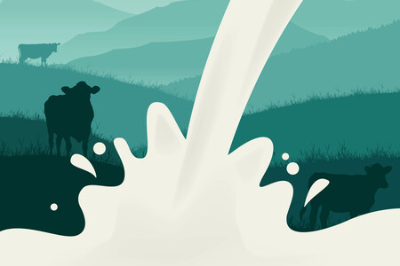 Arbeitsmaterial zur Milch I Land schafft Leben