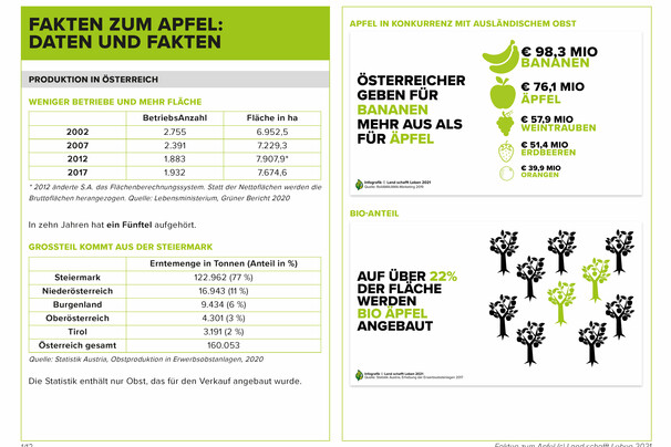 Apfel | Elementar- und Primarstufe