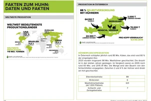 Huhn | Elementar- und Primarstufe