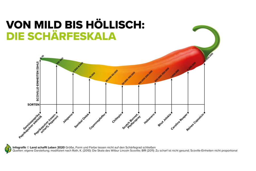Infografiken zum Paprika I Land schafft Leben