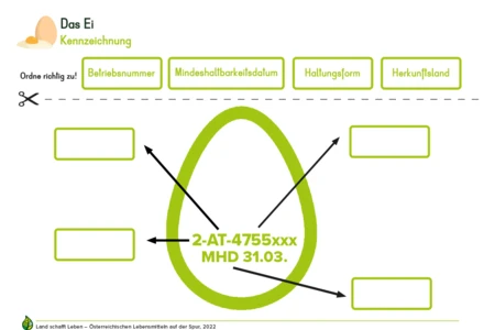Ei | Elementar- und Primarstufe