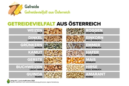 Getreide | Elementar- und Primarstufe