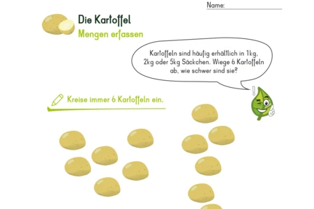Kartoffel | Elementar- und Primarstufe
