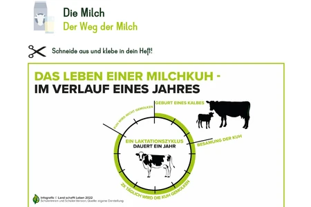 Milch | Elementar- und Primarstufe