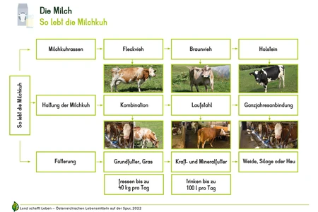 Milch | Elementar- und Primarstufe