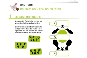 Huhn | Sekundarstufe 1