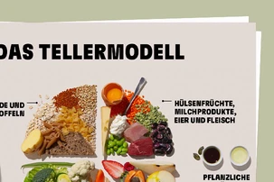 Tellermodell | Sekundarstufe 2