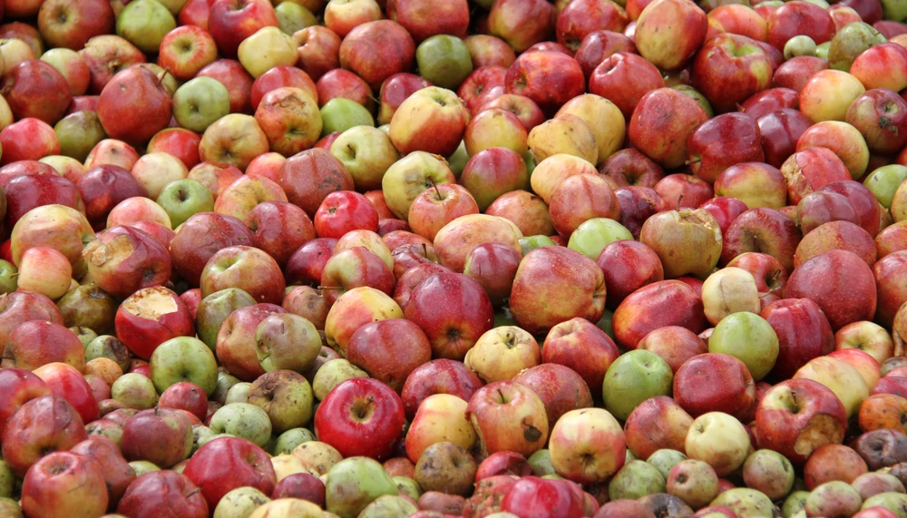 Apfelsaft „Made in Austria“? | Land schafft Leben