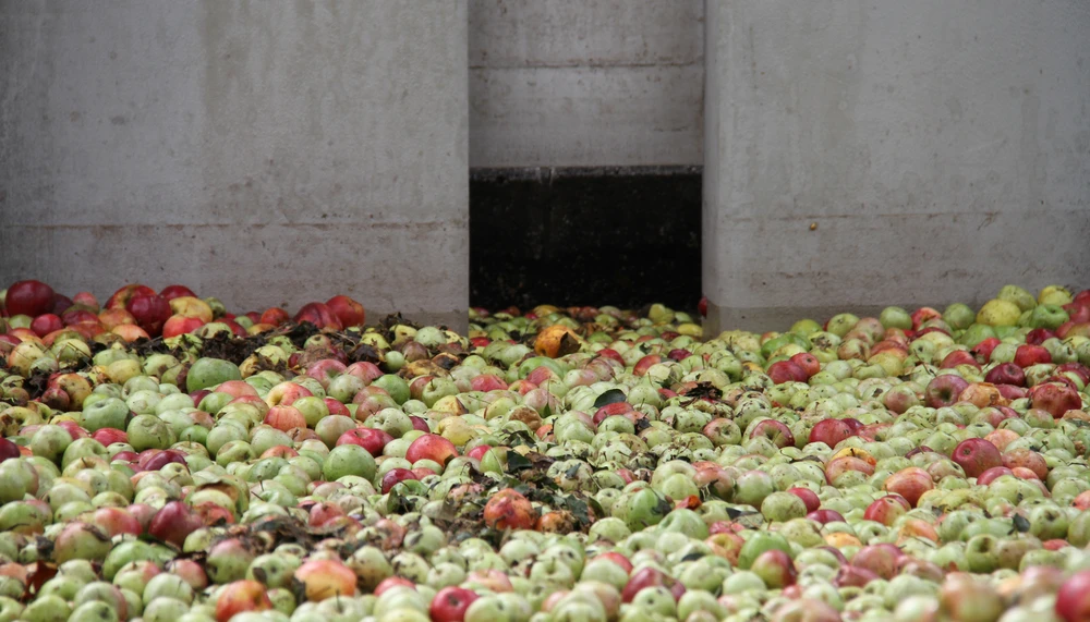 Apfelsaft „Made in Austria“? | Land schafft Leben