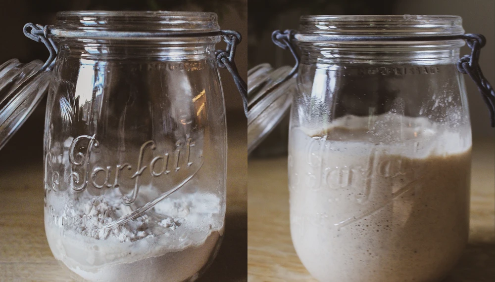 Willkommen in der Welt des Sauerteigs | Land schafft Leben