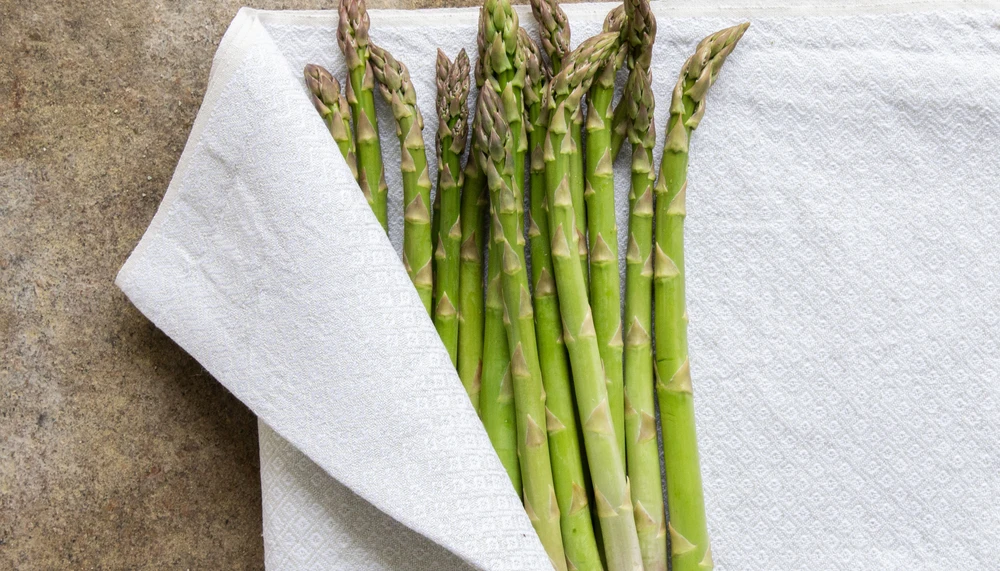 Spargel: Lagerung, Zubereitung und Rezepte