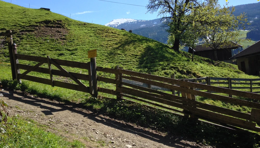 Der Feldweg | Land schafft Leben