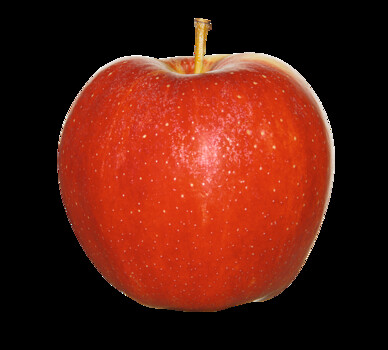 Wissenswertes | Apfel | Land schafft Leben