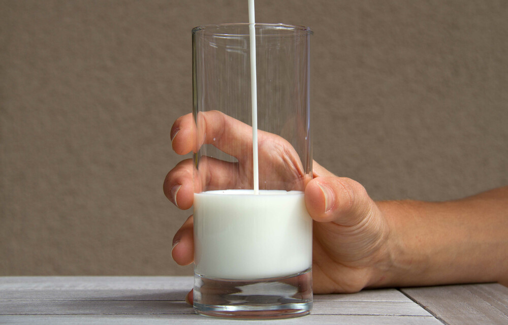 Milch | Land schafft Leben