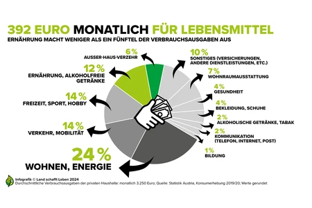 Infografiken | Lebensmittelkonsum in Österreich