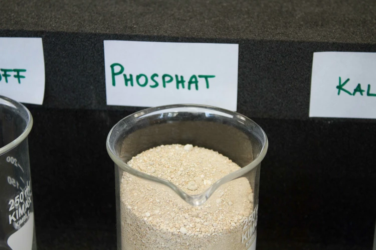 Nährstoffe - Boden, Düngen, Kreisläufe, Sackgassen