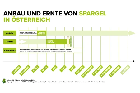 Saisonkalender