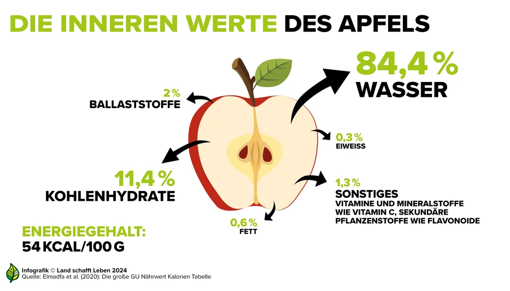 Wissenswertes | Apfel | Land schafft Leben