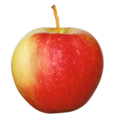 Wissenswertes | Apfel | Land schafft Leben