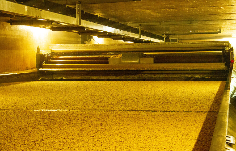 Gerste | Bier | Land schafft Leben