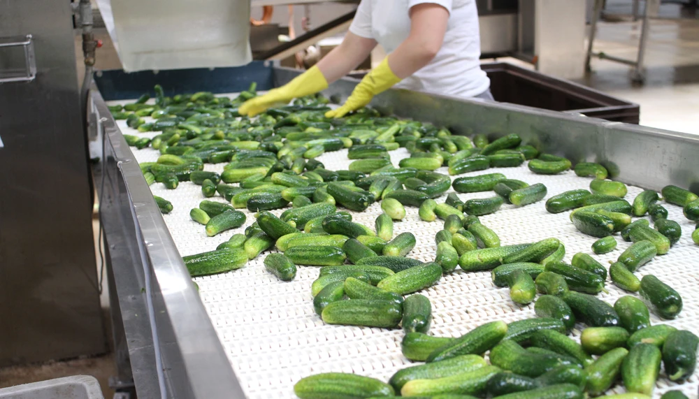 Einlegegurken | Land schafft Leben