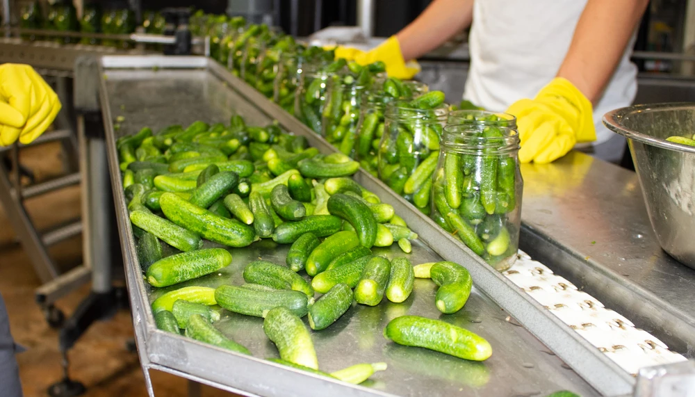 Einlegegurken | Land schafft Leben
