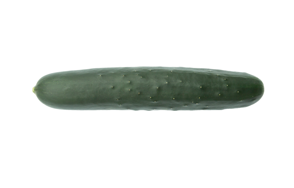 Wissenswertes über die Gurke | Land schafft Leben