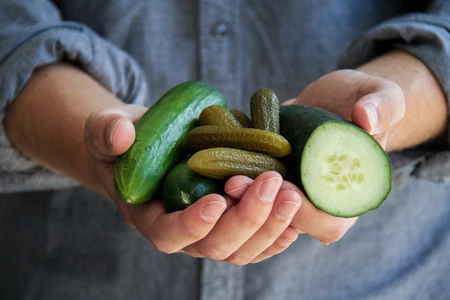 Gurke | Land schafft Leben