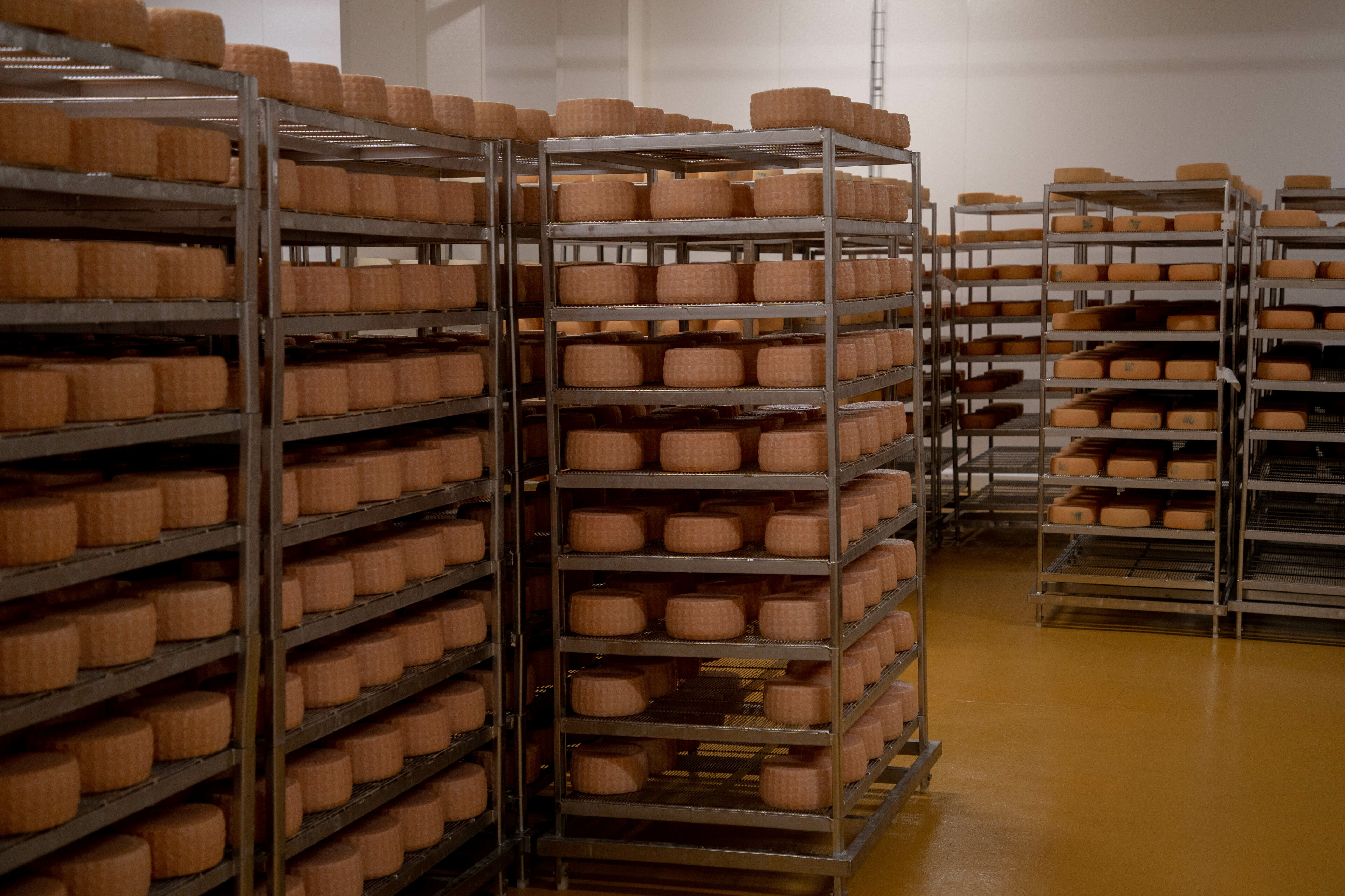 Videos | Käse | Land schafft Leben