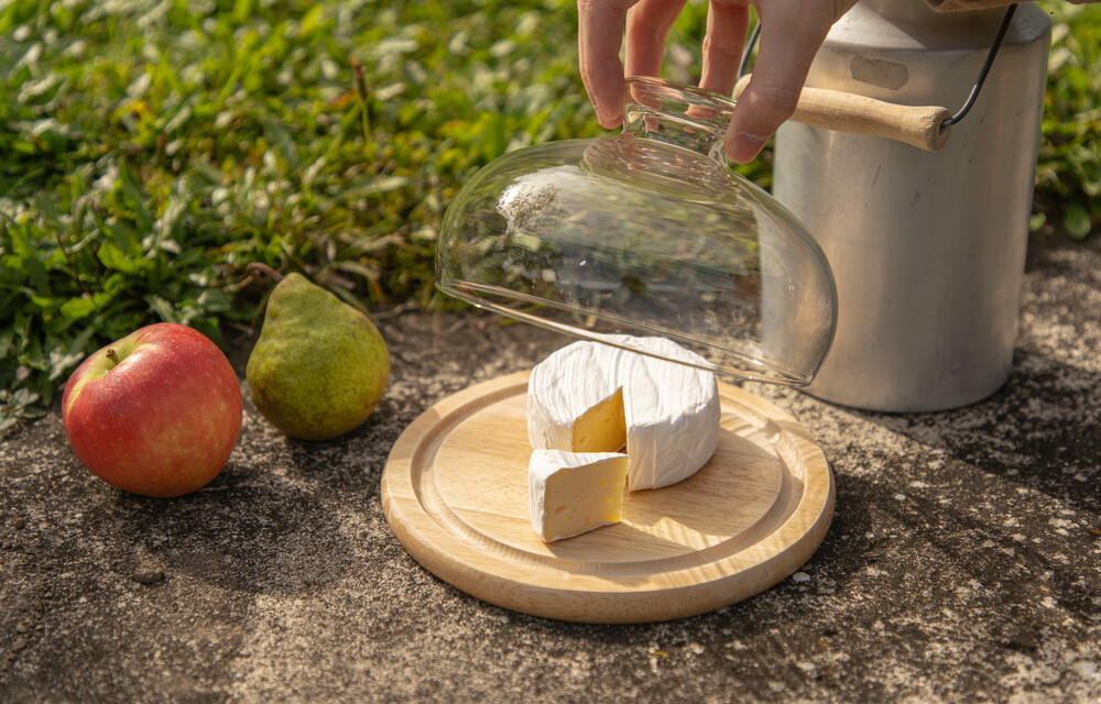 Unterscheidung im Regal | Käse | Land schafft Leben