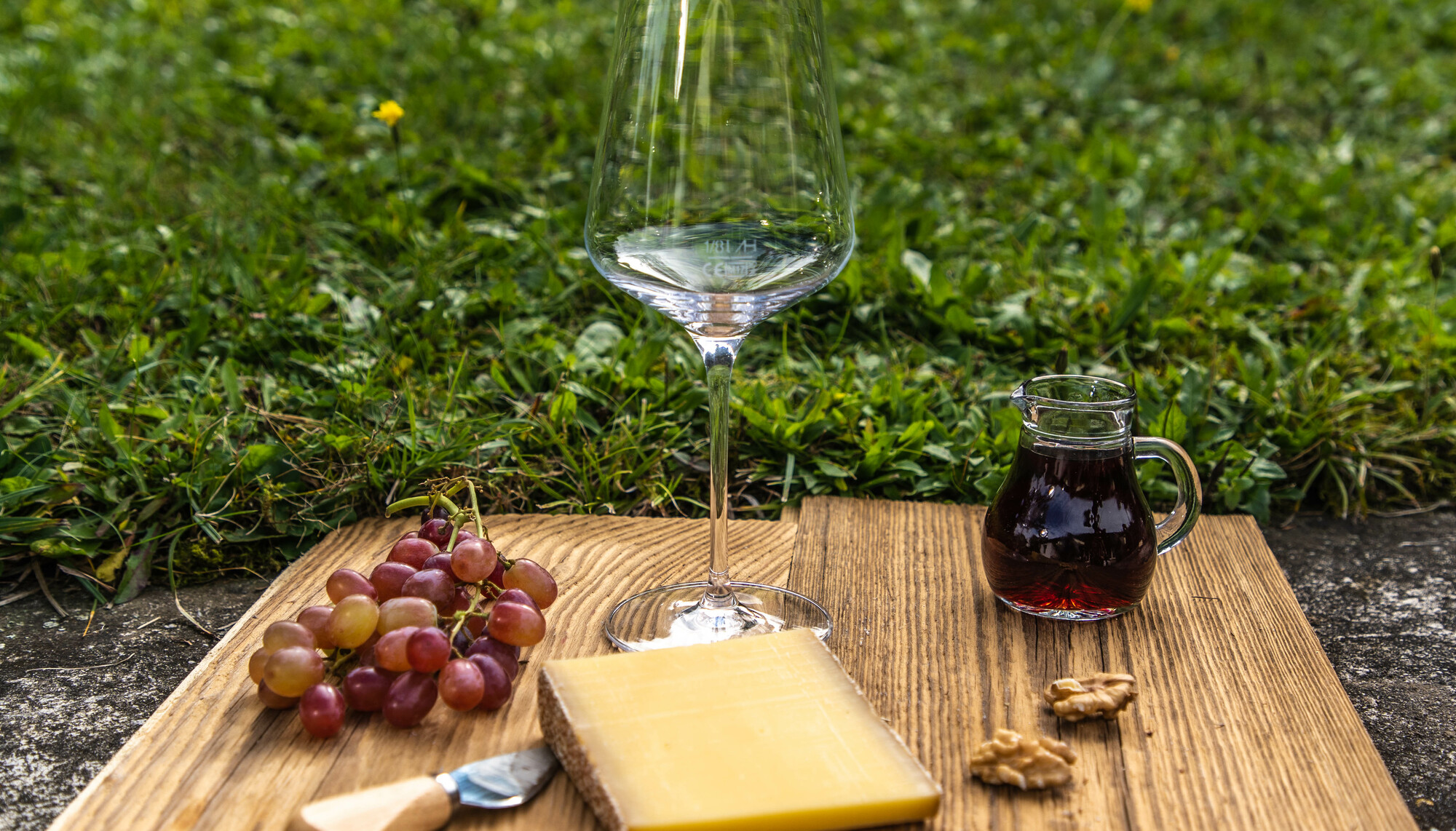 Sensorik | Käse | Land schafft Leben