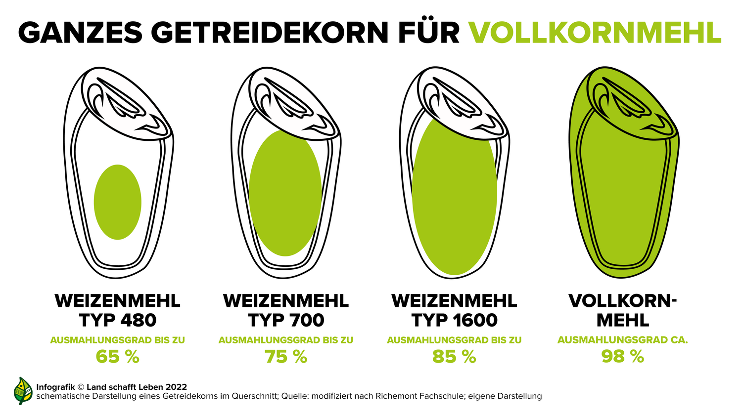 Mehlsorten und Unterscheidung | Mehl | Land schafft Leben