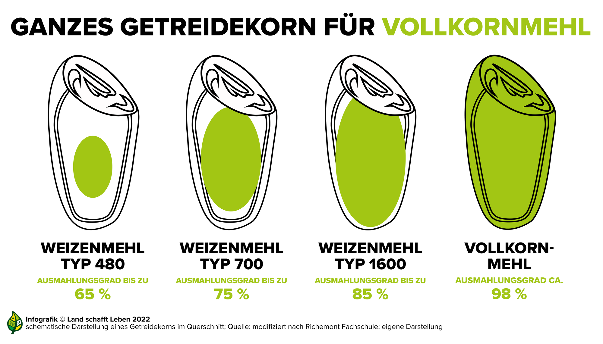 Mehlsorten und Unterscheidung | Mehl | Land schafft Leben