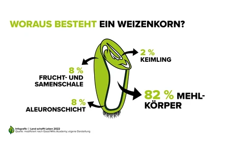 Infografiken | Mehl I Land schafft Leben