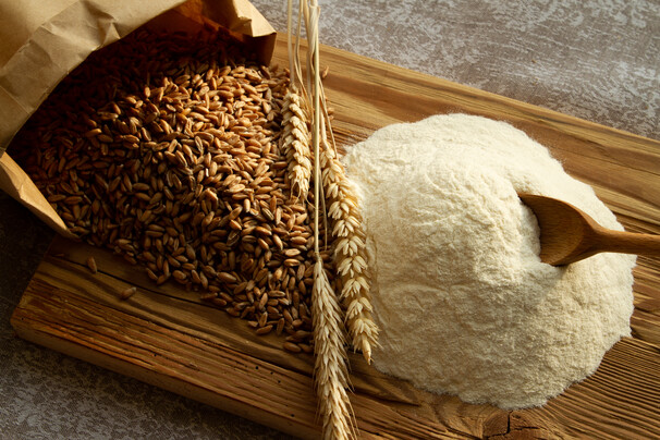 Brotherstellung | Brot und Gebäck | Land schafft Leben
