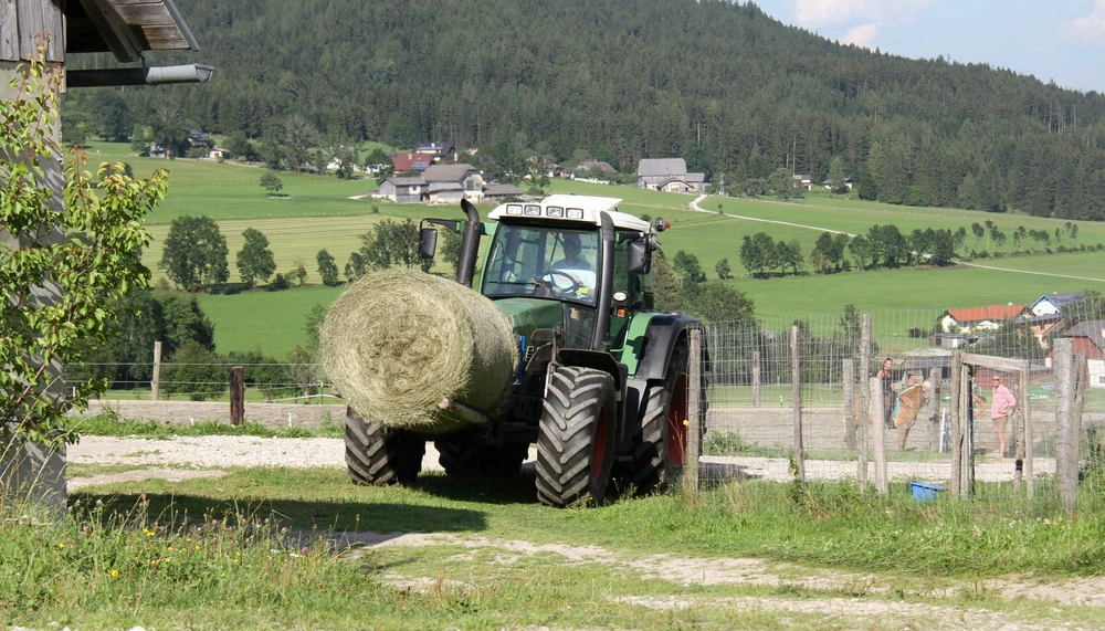 Erntedank | Land schafft Leben