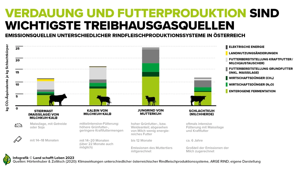 Ökologische Aspekte | Rind | Land schafft Leben