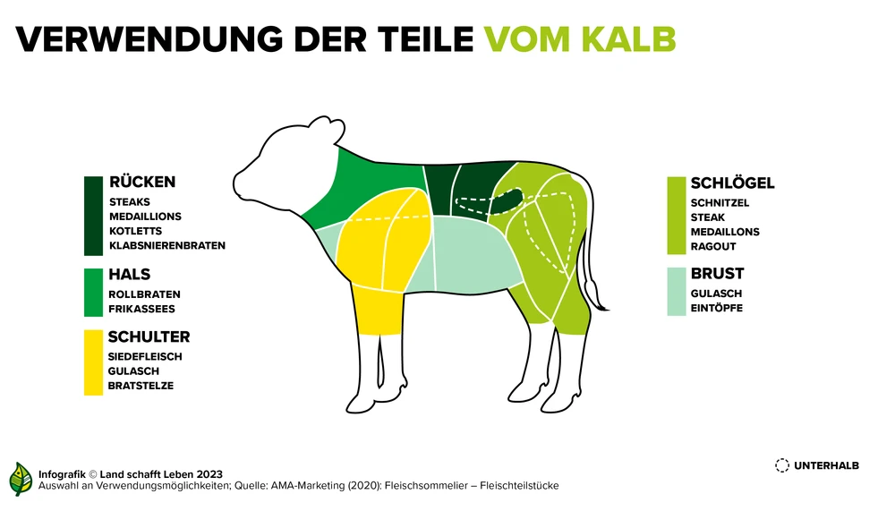 Unterscheidung im Regal | Rind | Land schafft Leben