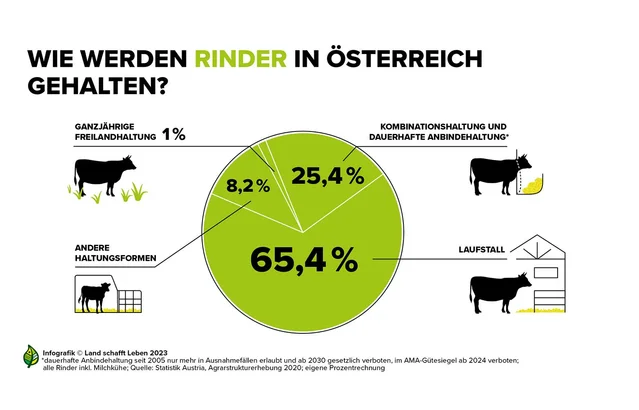 Unterscheidung im Regal | Rind | Land schafft Leben