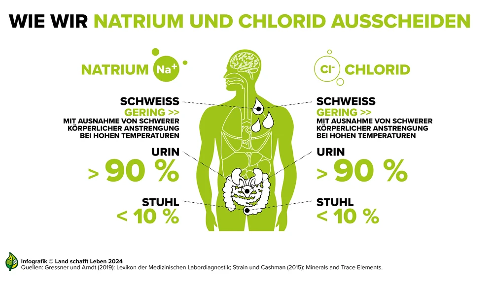 Salzvergiftung Symptome Erwachsene