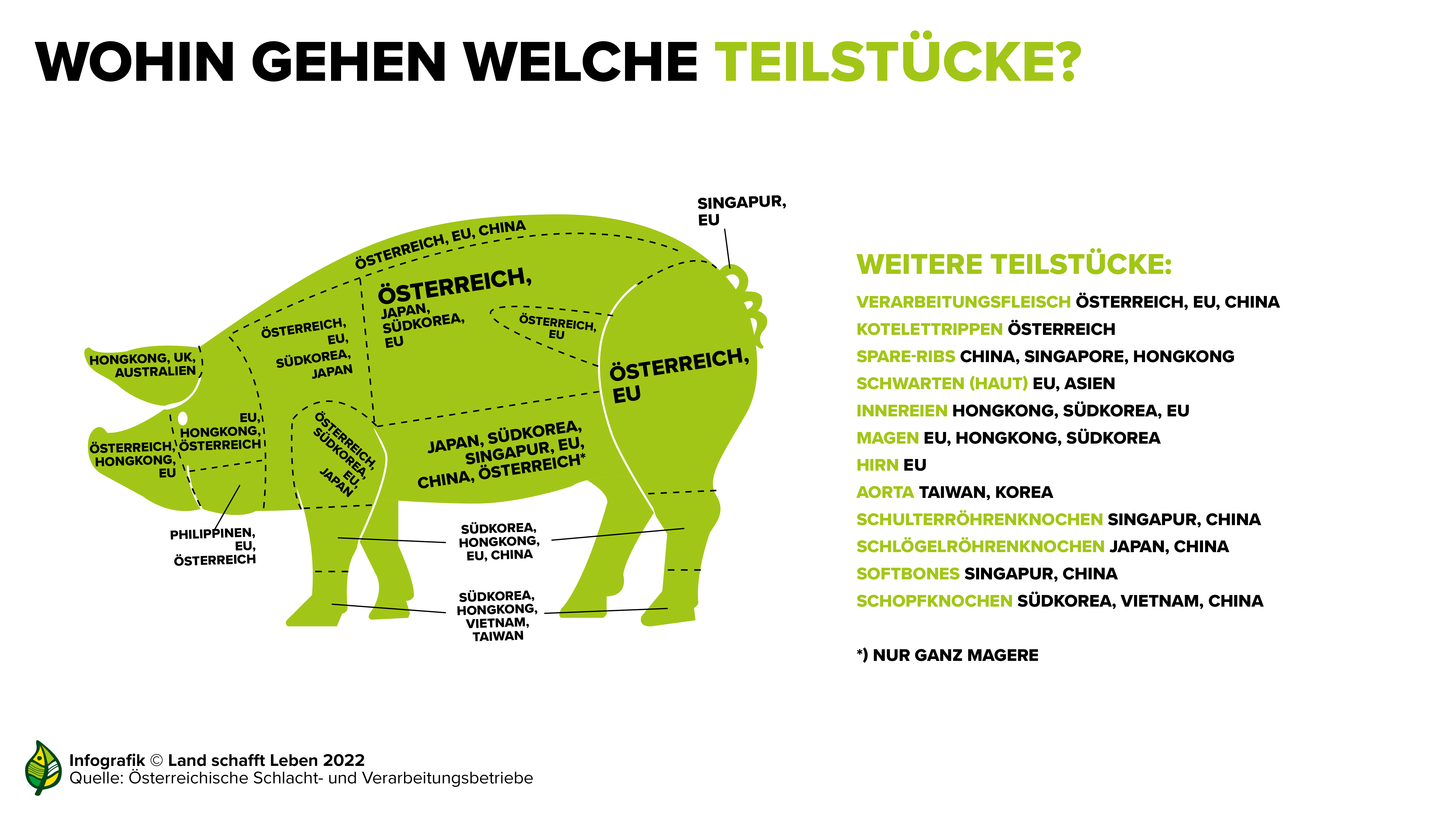 Infografiken zum Schwein I Land schafft Leben