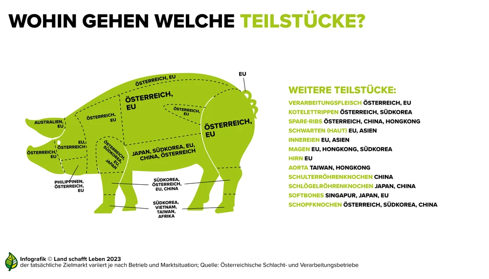 Transport, Schlachtung und Zerlegung
