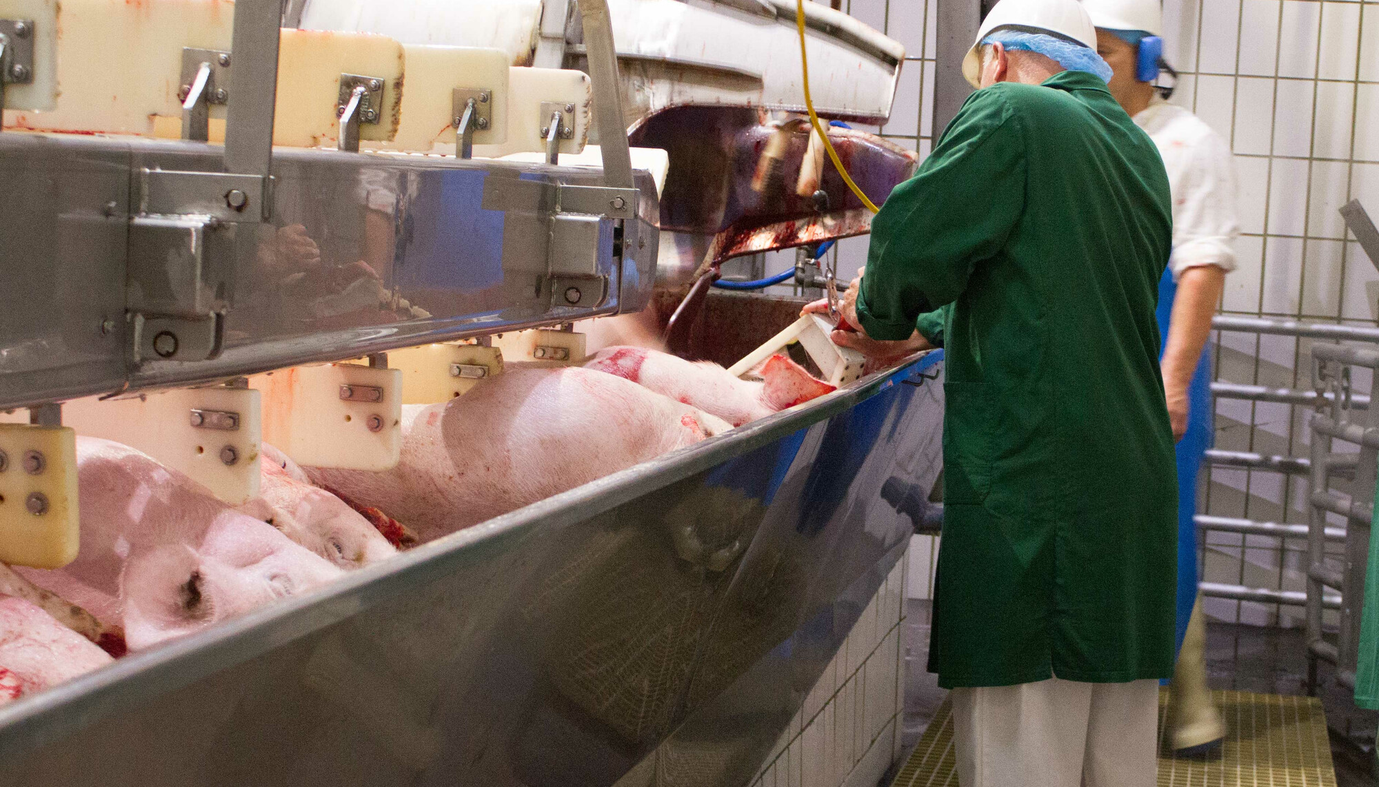 Transport, Schlachtung und Zerlegung