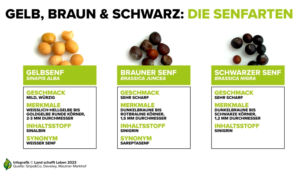 Senfarten | Land schafft Leben