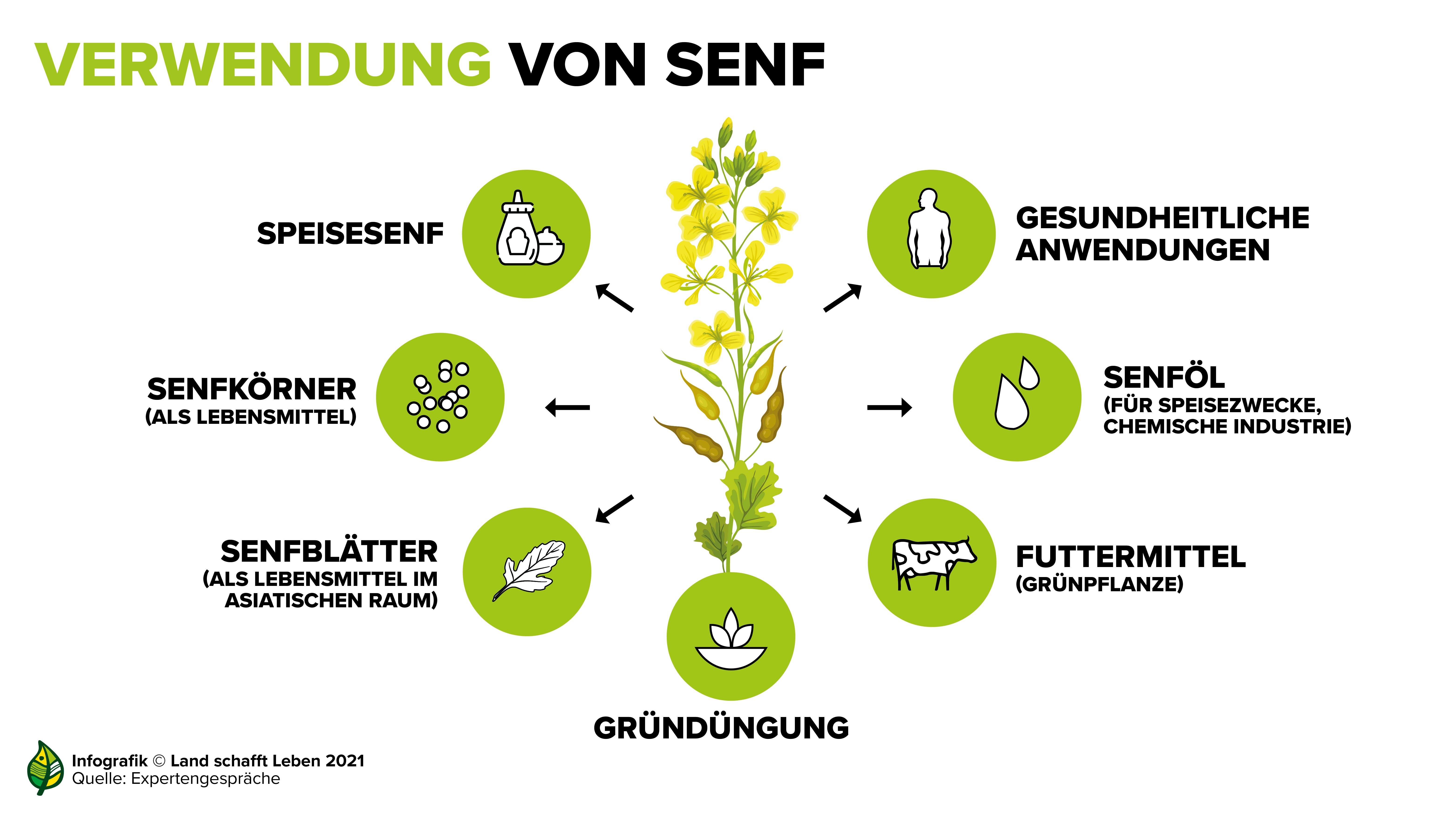 Infografiken zum Senf I Land schafft Leben