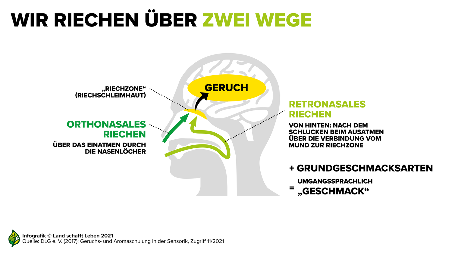 Sensorik | Käse | Land schafft Leben