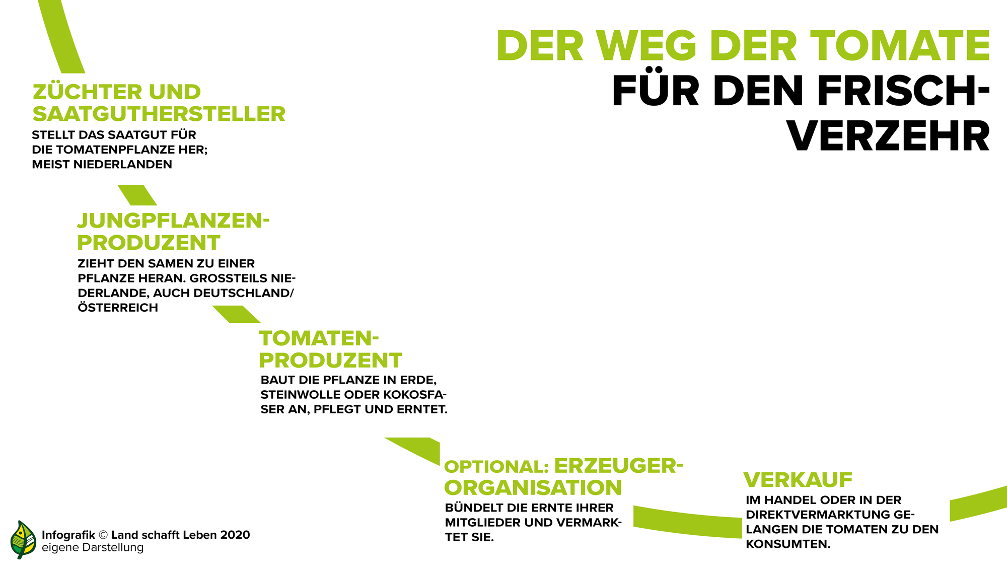 Die Tomate | Land schafft Leben